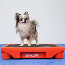 LIMITED EDITION!!! KLIMB Training Platform - ORANGE – K9 Pro - The K9 Professionals