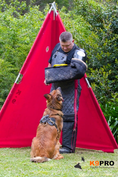 IGP Blind by Redline K9 – K9 Pro - The K9 Professionals