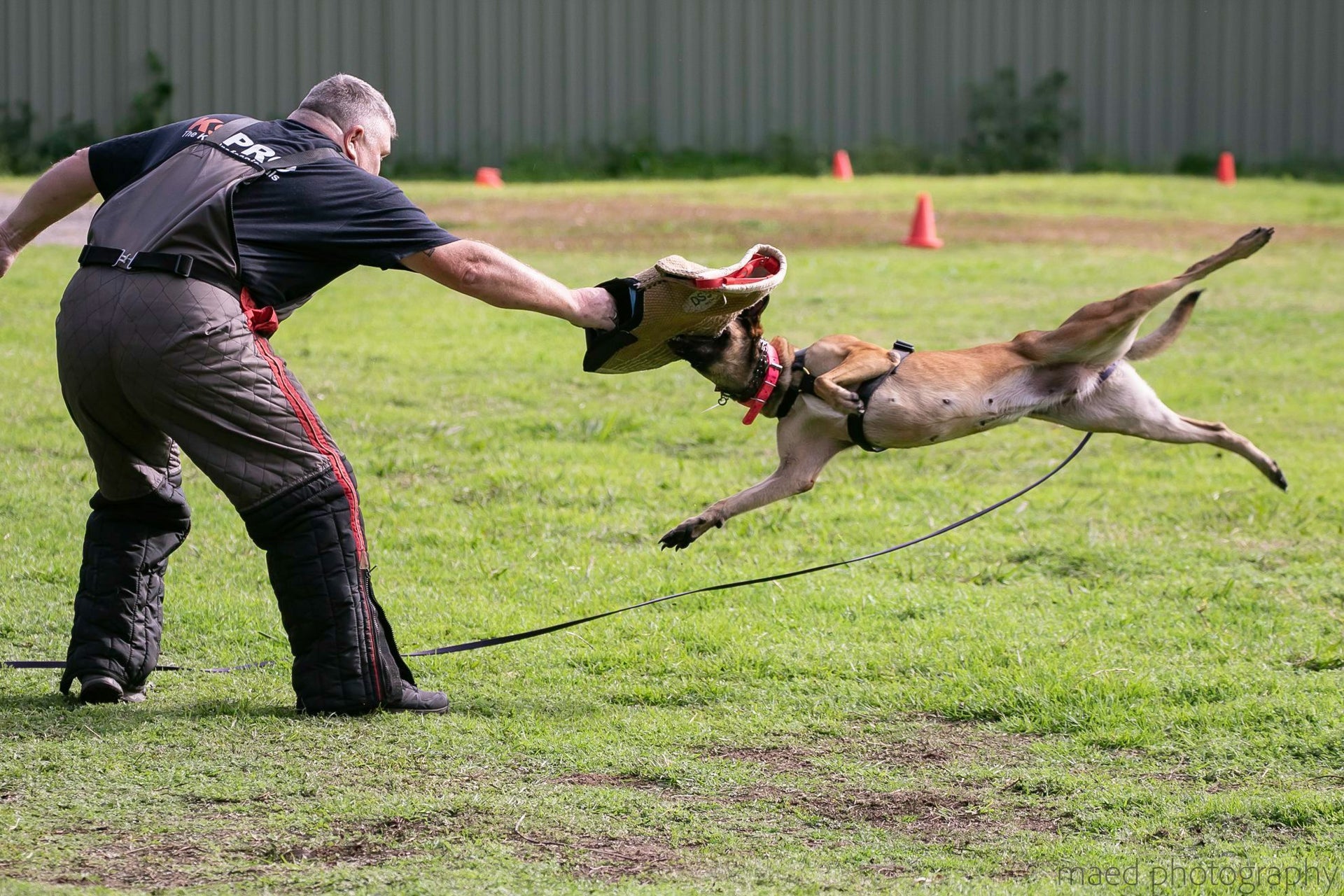 Bitework - Accessories – K9 Pro - The K9 Professionals