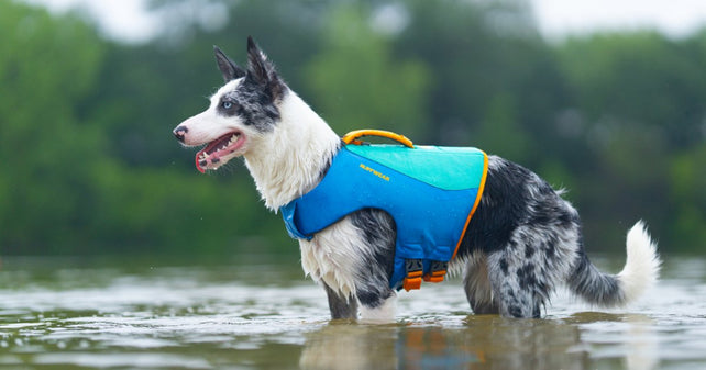 K9 Pro SHOP – K9 Pro - The K9 Professionals