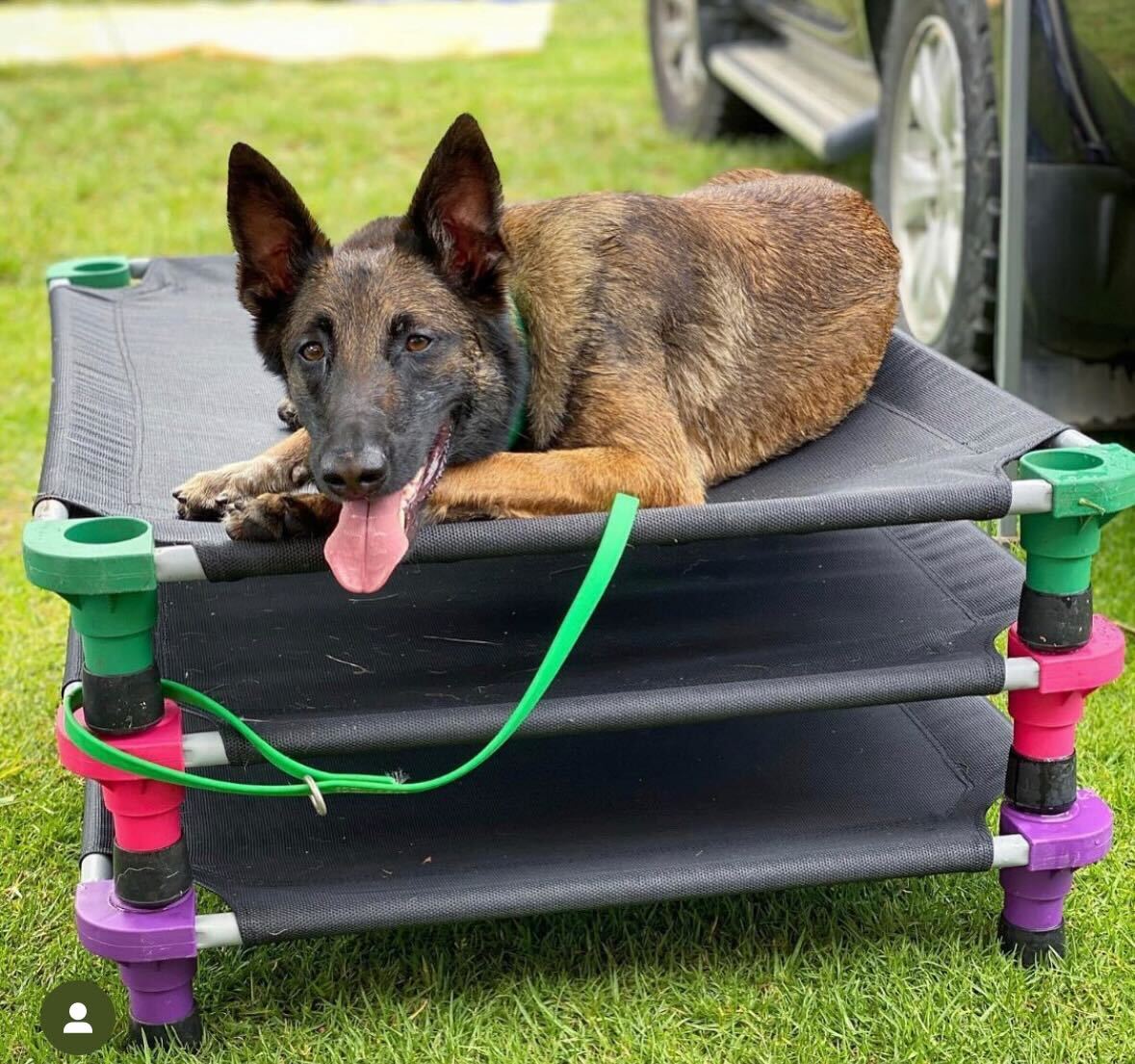 K9Pro - The K9 Professionals – K9 Pro - The K9 Professionals