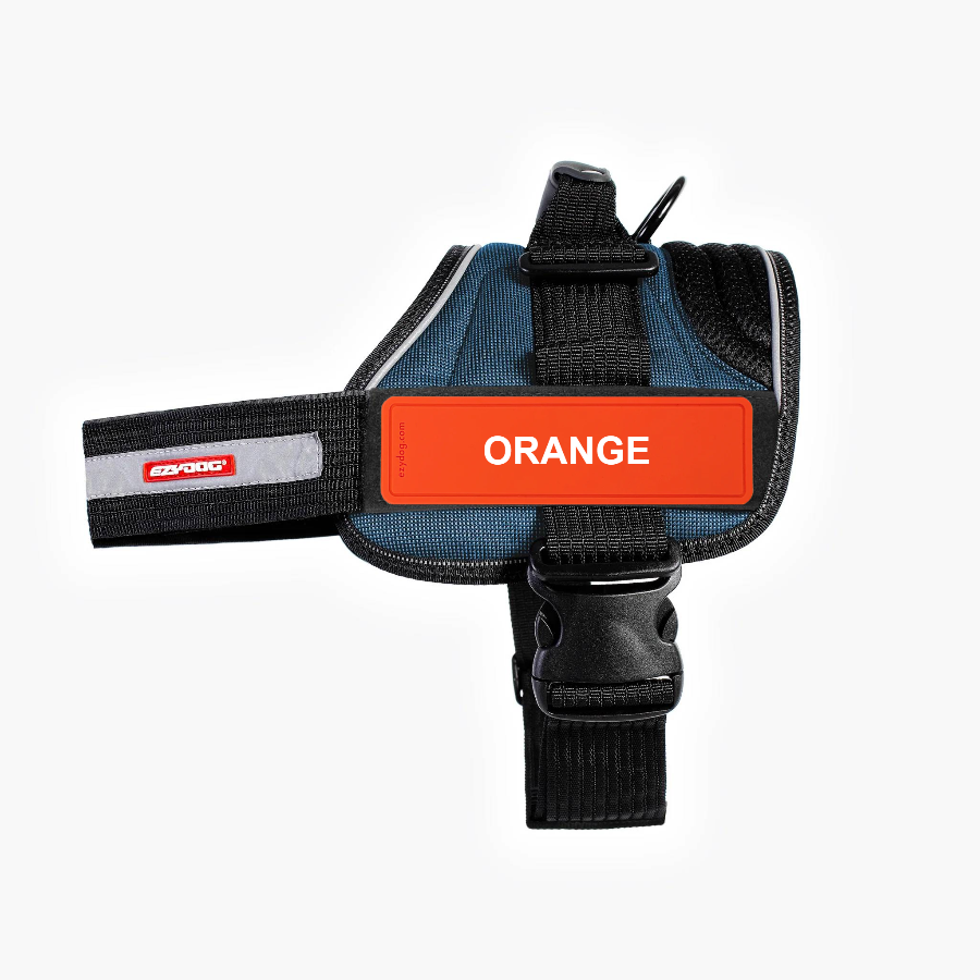 Personalised Custom Dog Tags / Labels – K9 Pro - The K9 Professionals