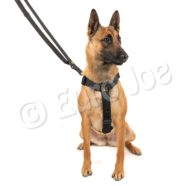Euro Joe Iron Power Police Leash – K9 Pro - The K9 Professionals