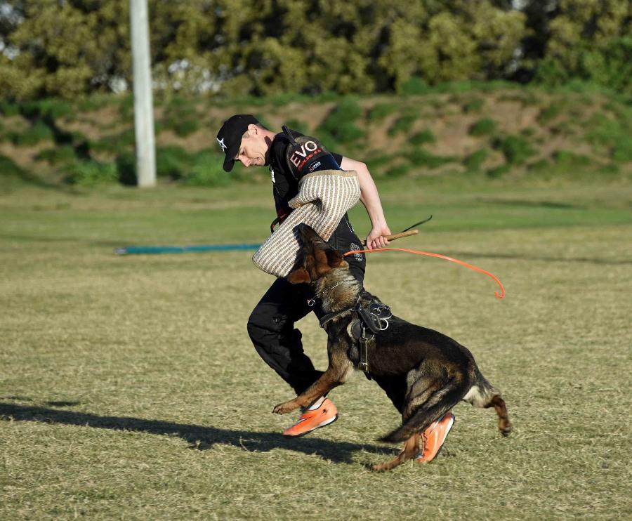 IPO Bite Sleeve EVO | Top of the Line K9 Pro Australia – K9 Pro - The ...