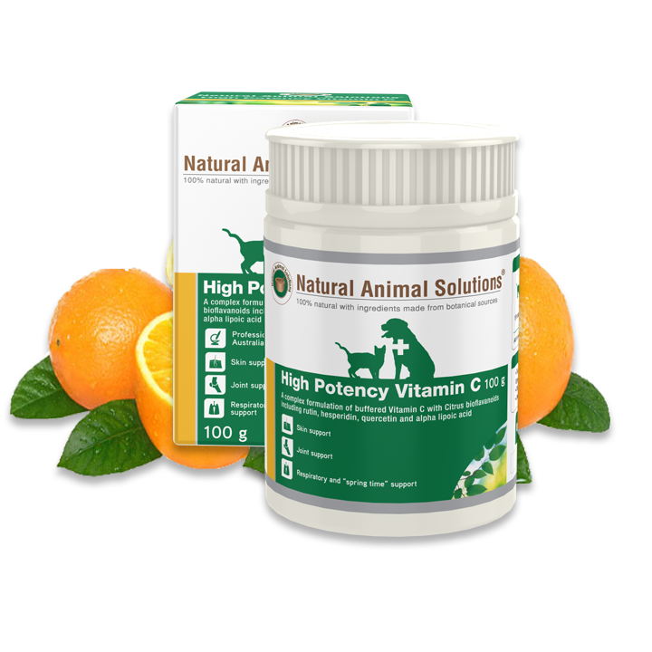 Natural Animal Solutions High Potency Vitamin C Powder – K9 Pro - The ...