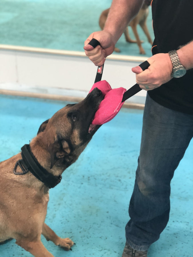 RedLine K9 Karl Tug – K9 Pro - The K9 Professionals