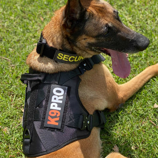 Bitework - Accessories – K9 Pro - The K9 Professionals