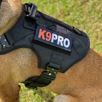 Bitework - Accessories – K9 Pro - The K9 Professionals