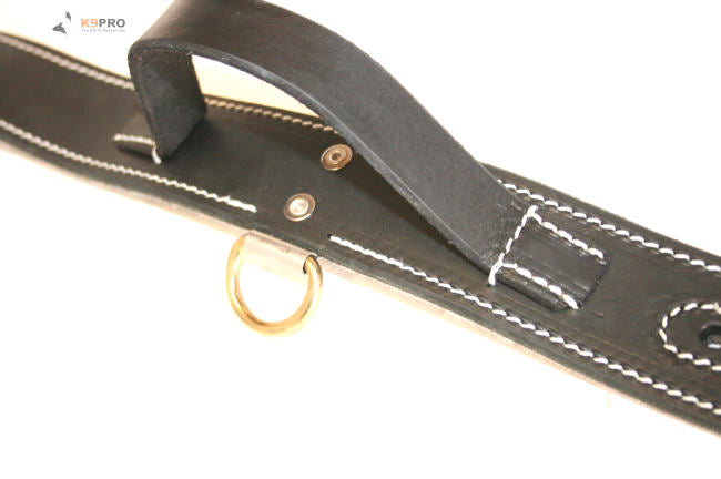 Tactical Deployment Collar with handle – K9 Pro - The K9 Professionals