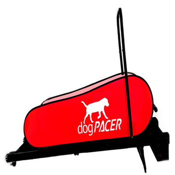 DogPACER LF 3.1 Dog Pacer Treadmill | K9 Pro Australia – K9 Pro - The ...