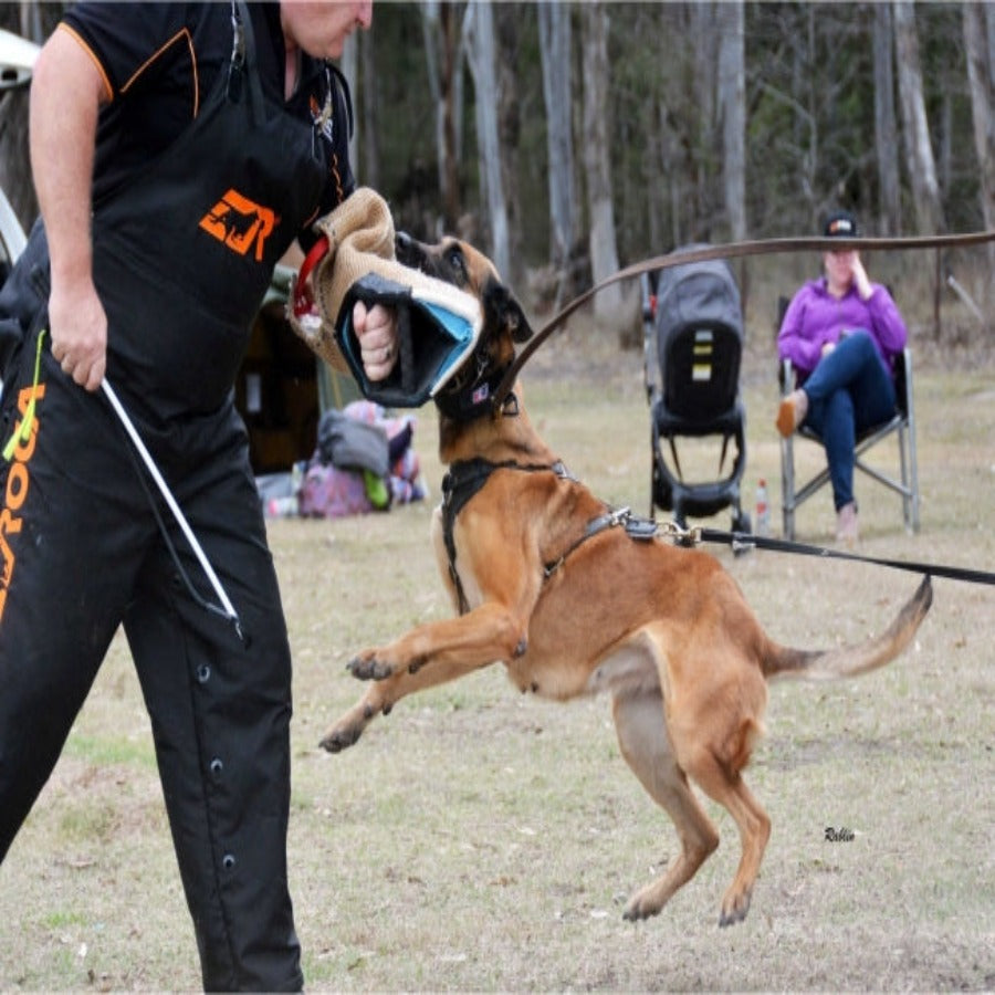 Euro Joe DS3 Bitesleeve | K9 Pro Australia – K9 Pro - The K9 Professionals