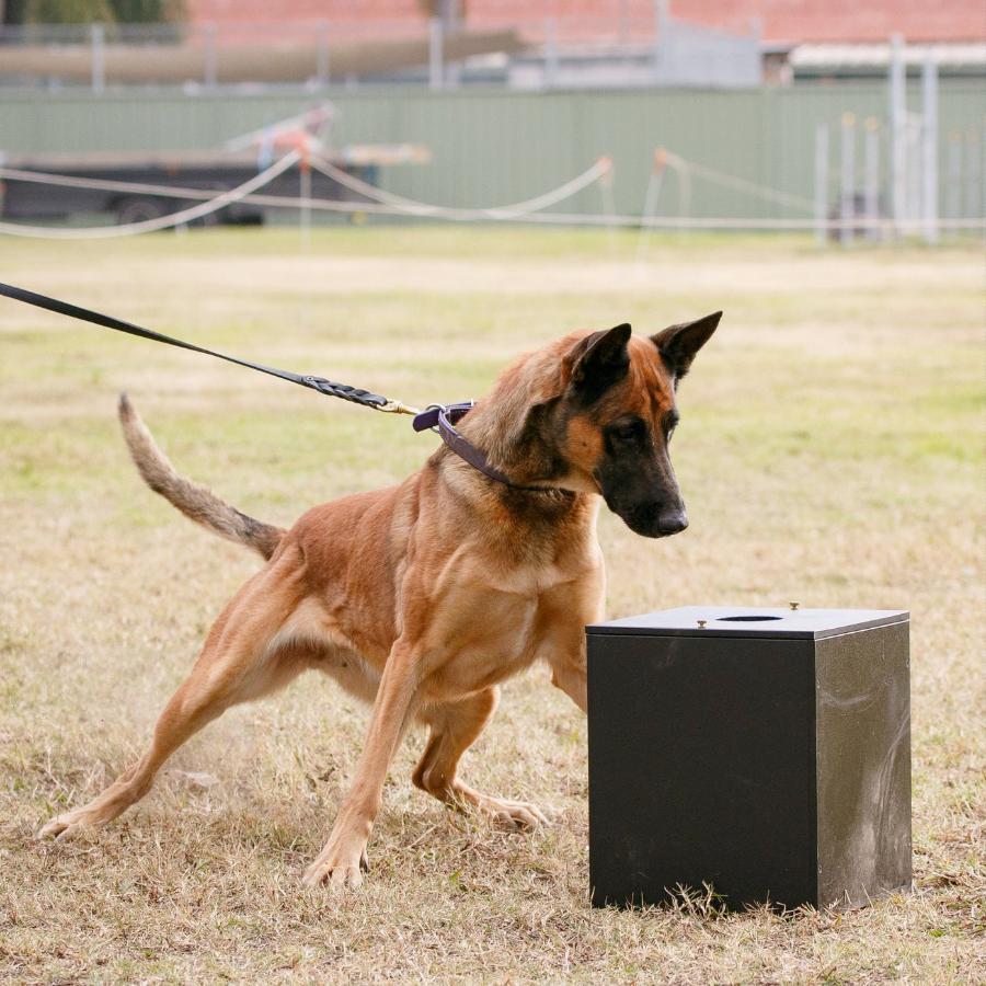 RedLine K9 Reward Scent Box | K9 Pro Australia – K9 Pro - The K9 ...